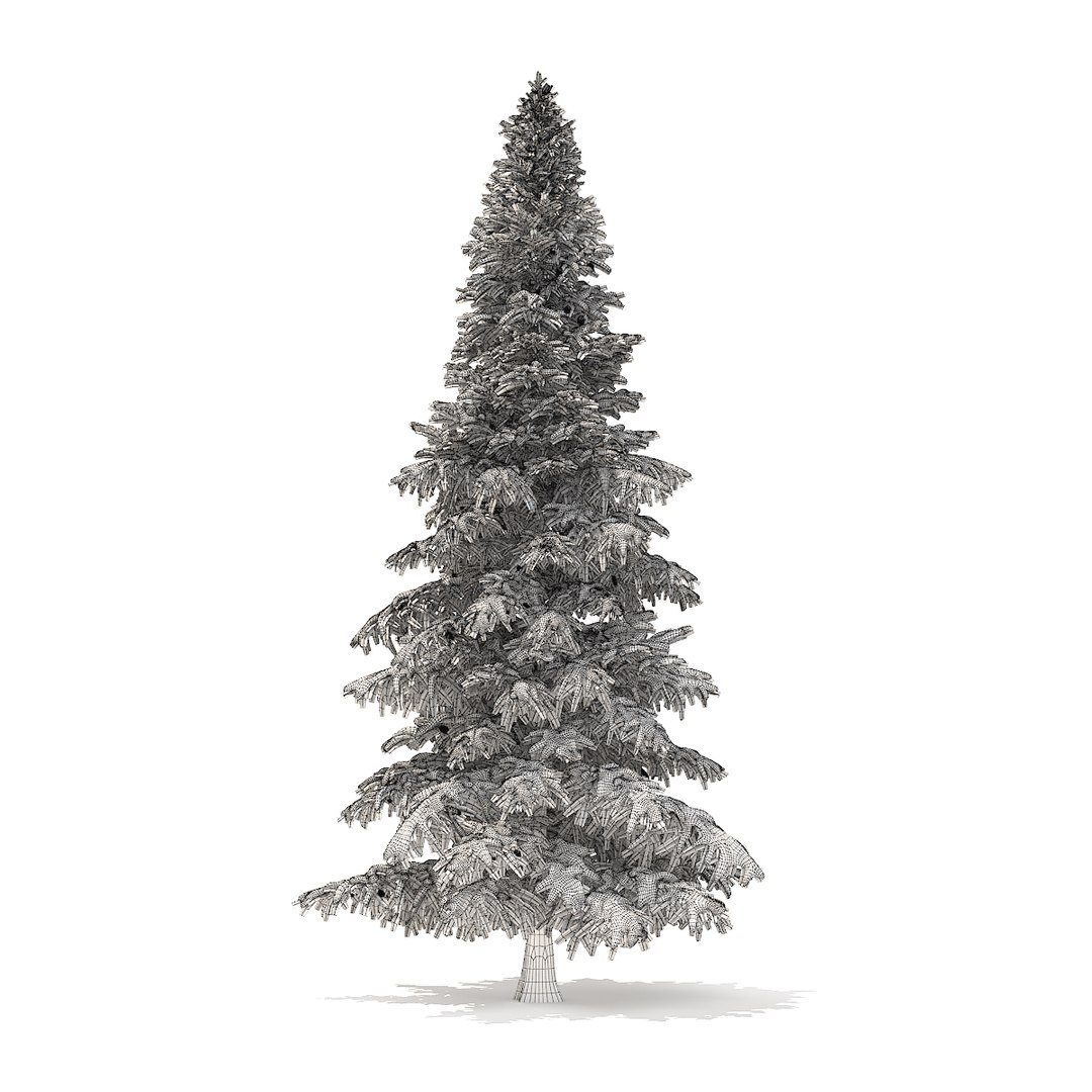 Spruce Tree Snow 8m 3D - TurboSquid 1273663