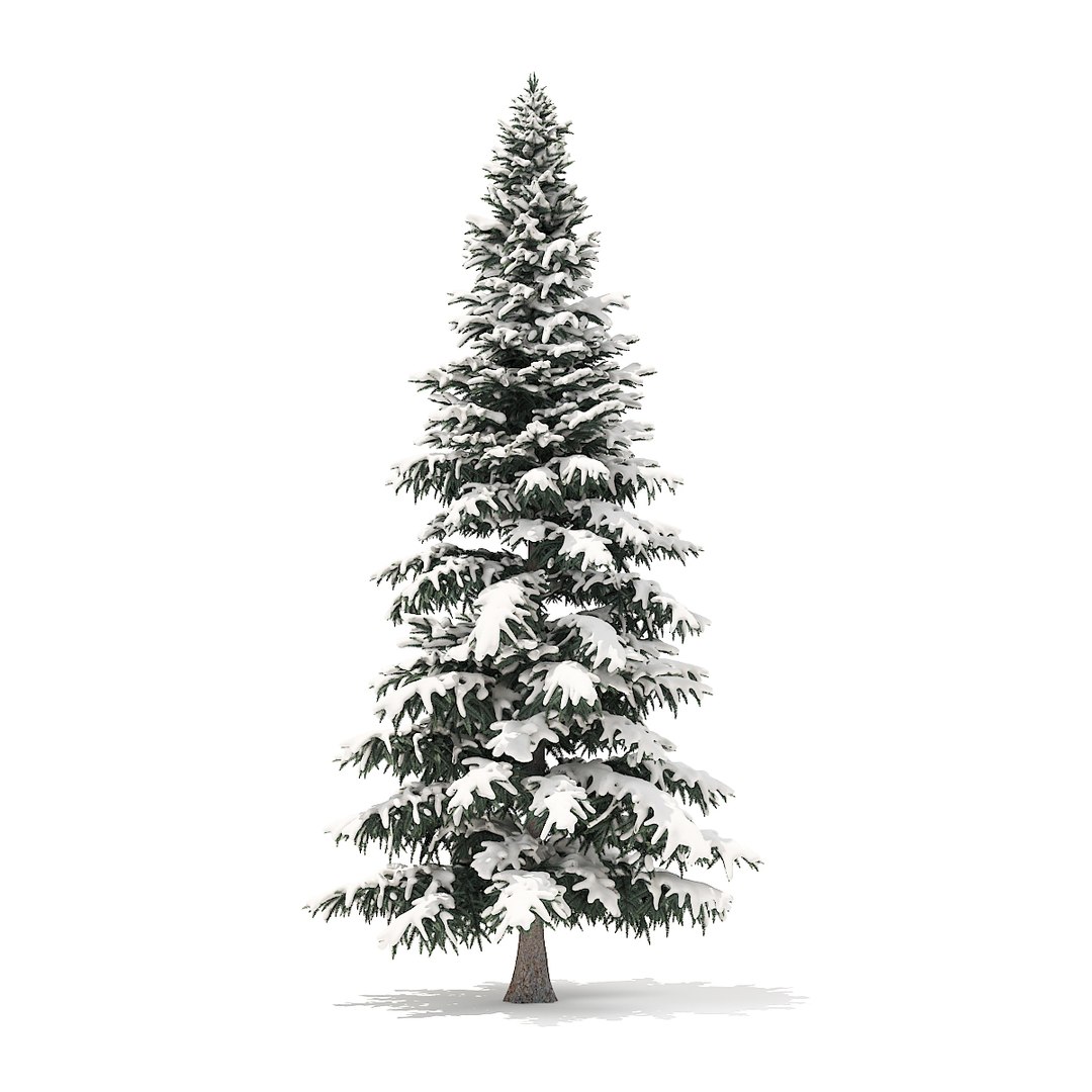 Spruce Tree Snow 8m 3D - TurboSquid 1273663
