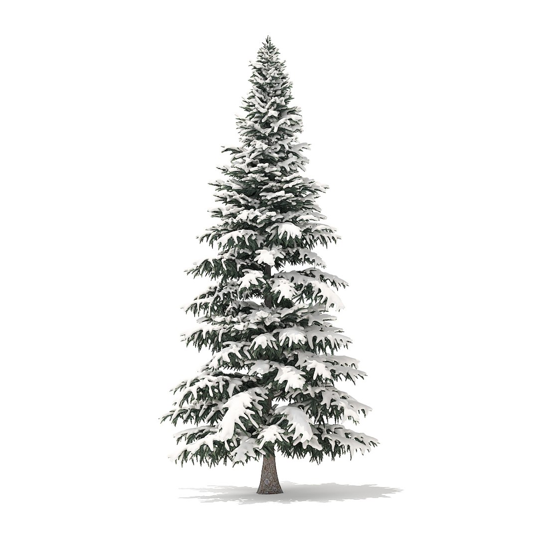 Spruce Tree Snow 8m 3D - TurboSquid 1273663