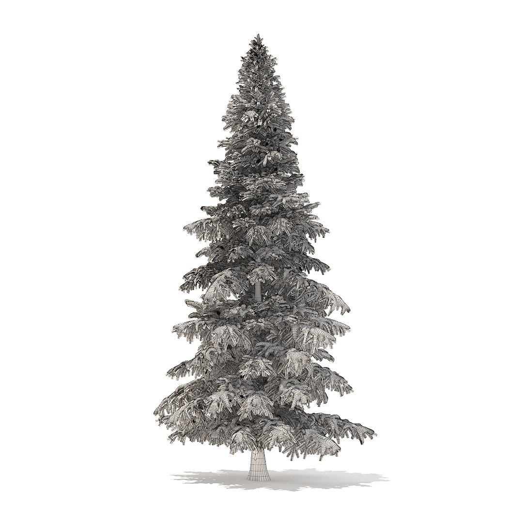 Spruce Tree Snow 8m 3D - TurboSquid 1273663