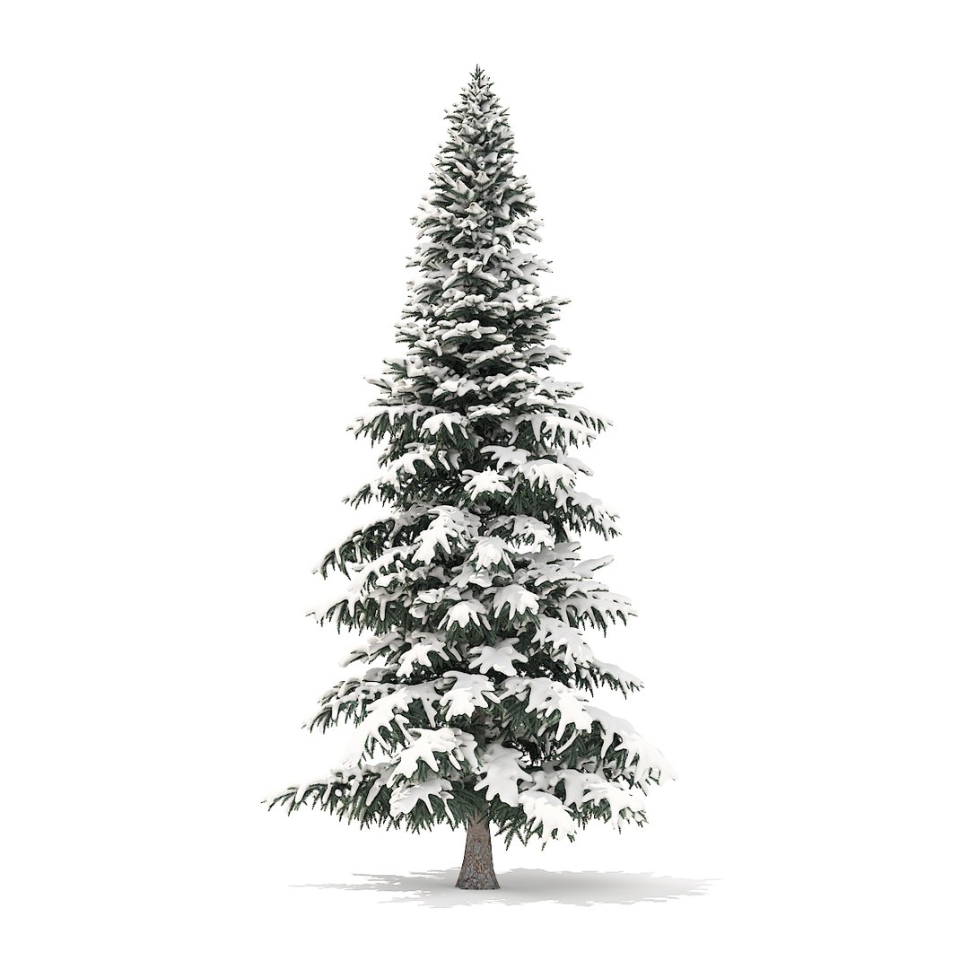 Spruce Tree Snow 8m 3D - TurboSquid 1273663