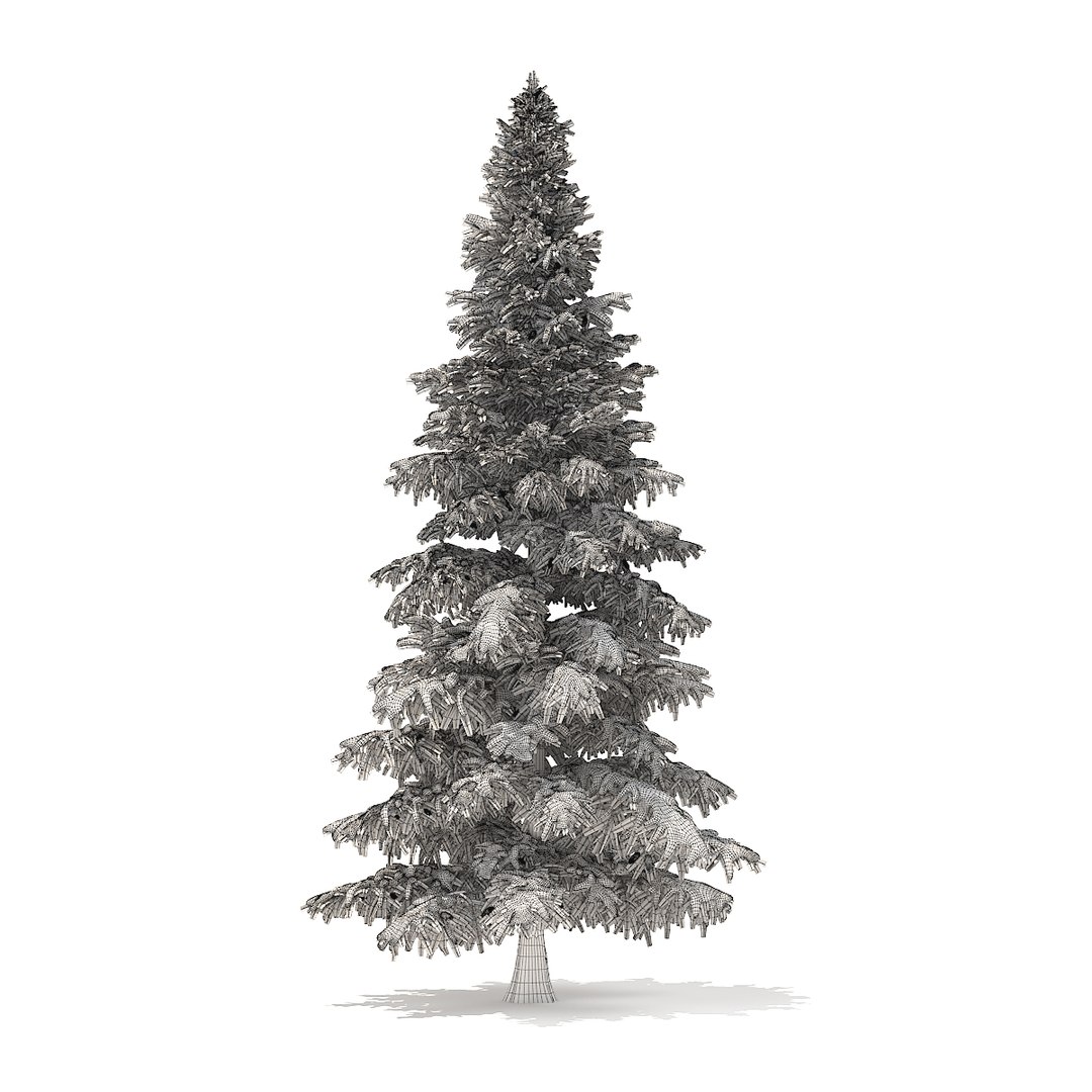 Spruce Tree Snow 8m 3D - TurboSquid 1273663