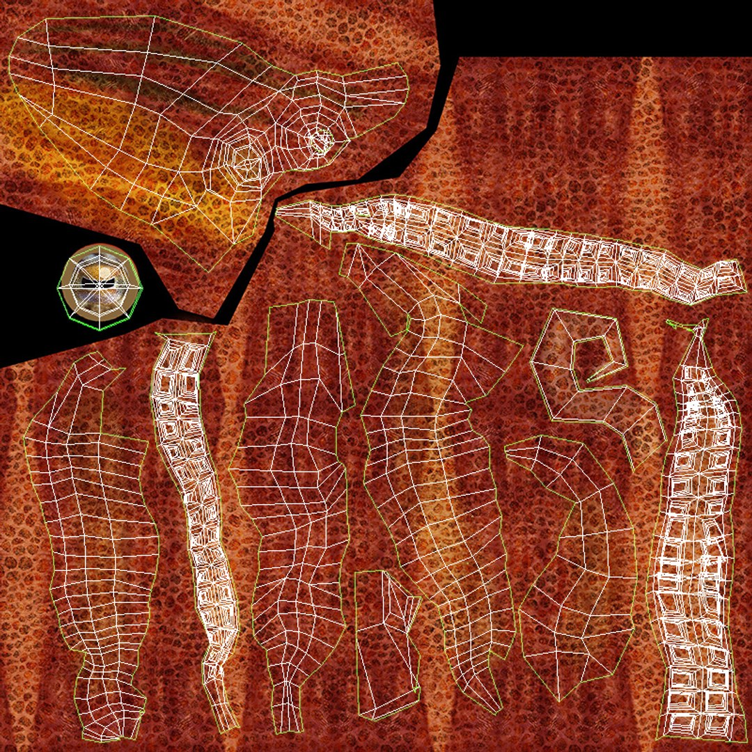 3d max octopus mollusc cephalopod