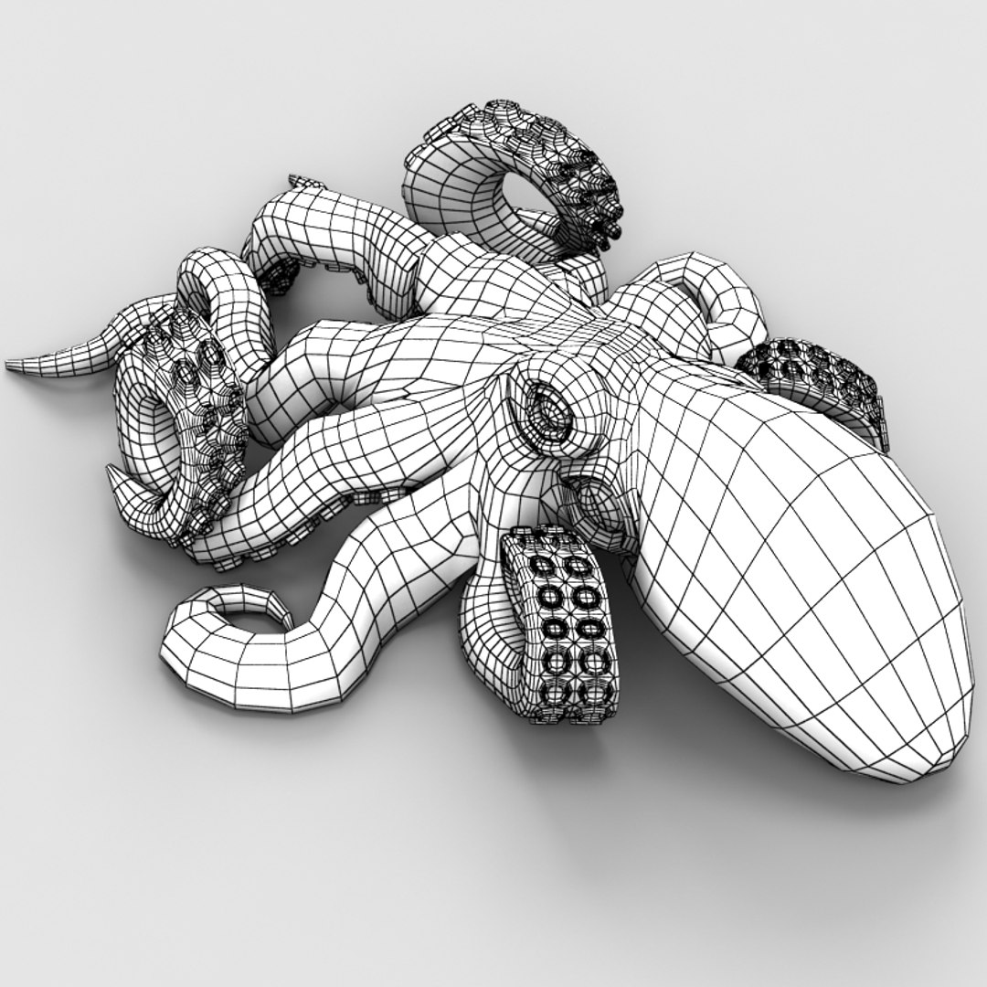 3d max octopus mollusc cephalopod