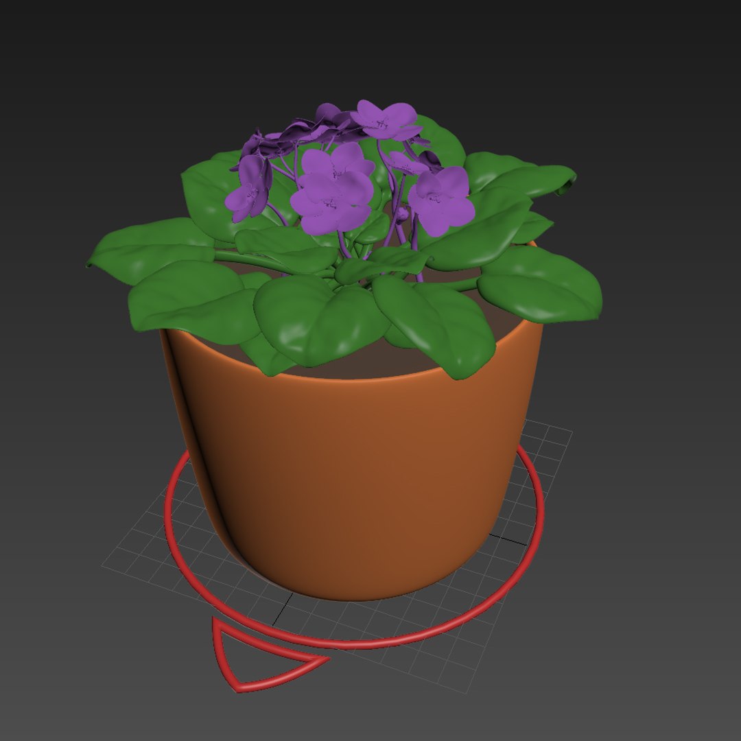 3D African Violet Model - TurboSquid 1227878