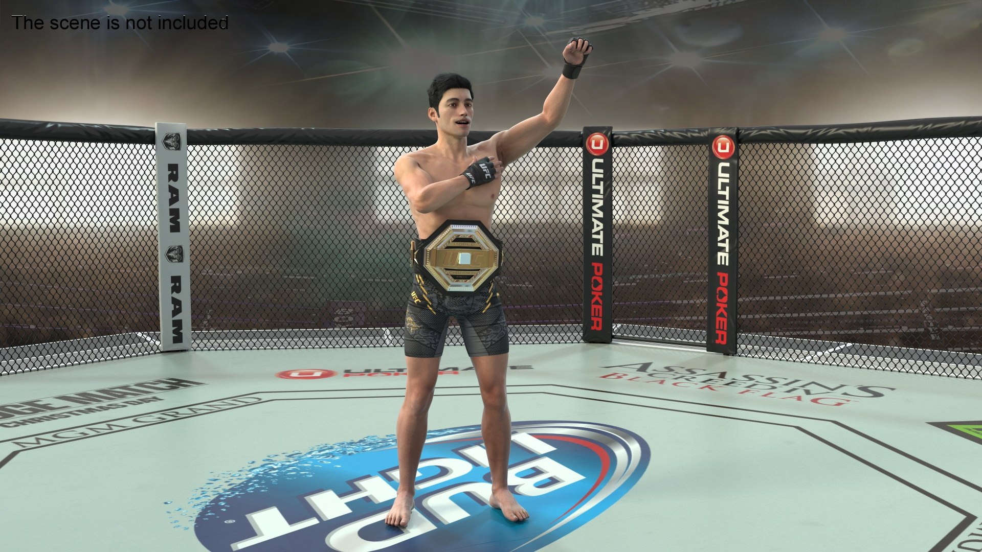UFC MMA Fighter Wins Animated Fur Rigged 3D - TurboSquid 2382947