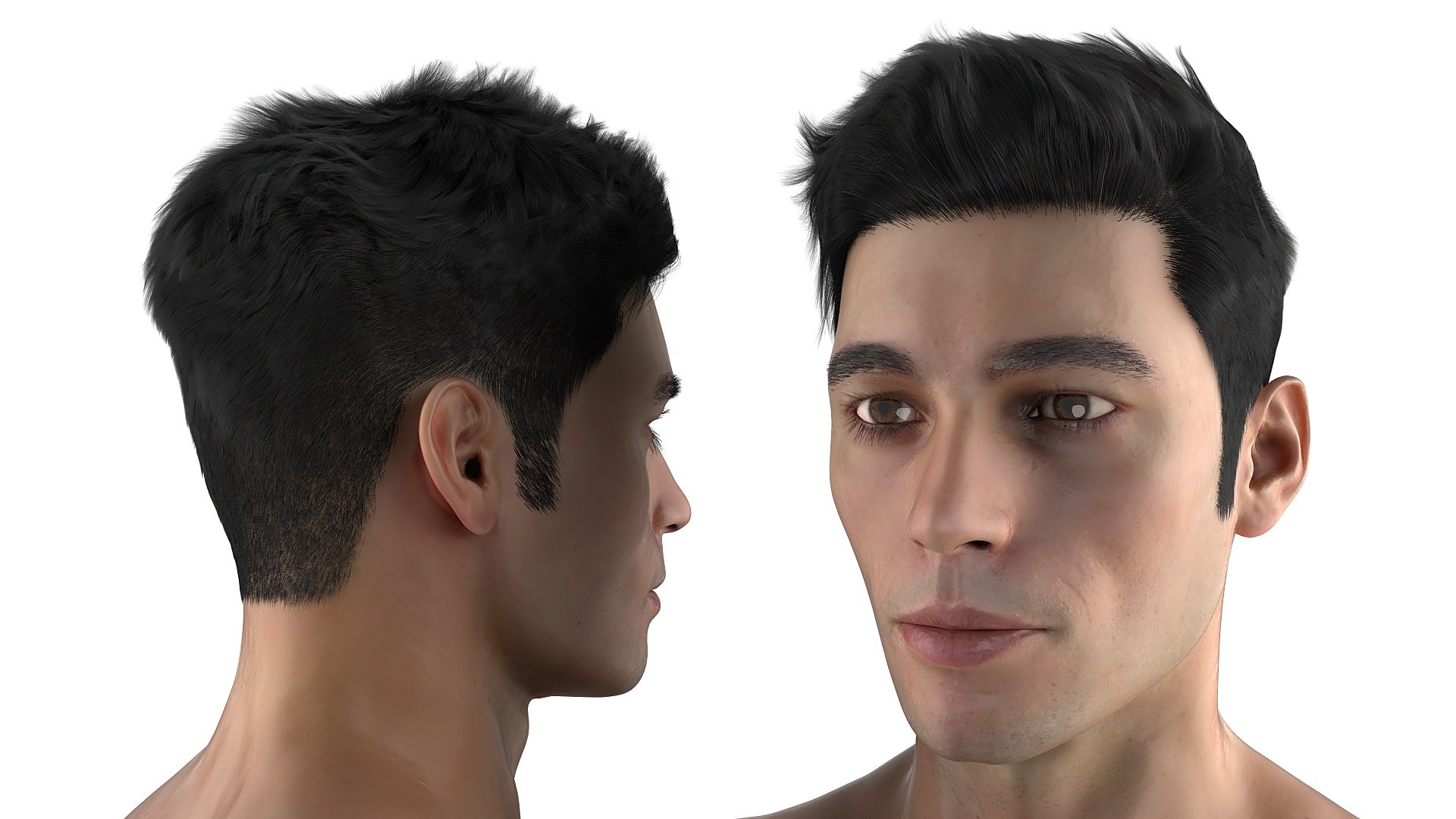 UFC MMA Fighter Wins Animated Fur Rigged 3D - TurboSquid 2382947