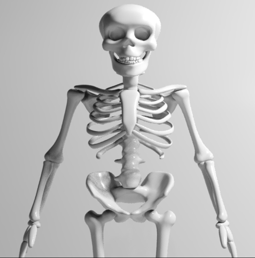Cartoon Skeleton 3d Model
