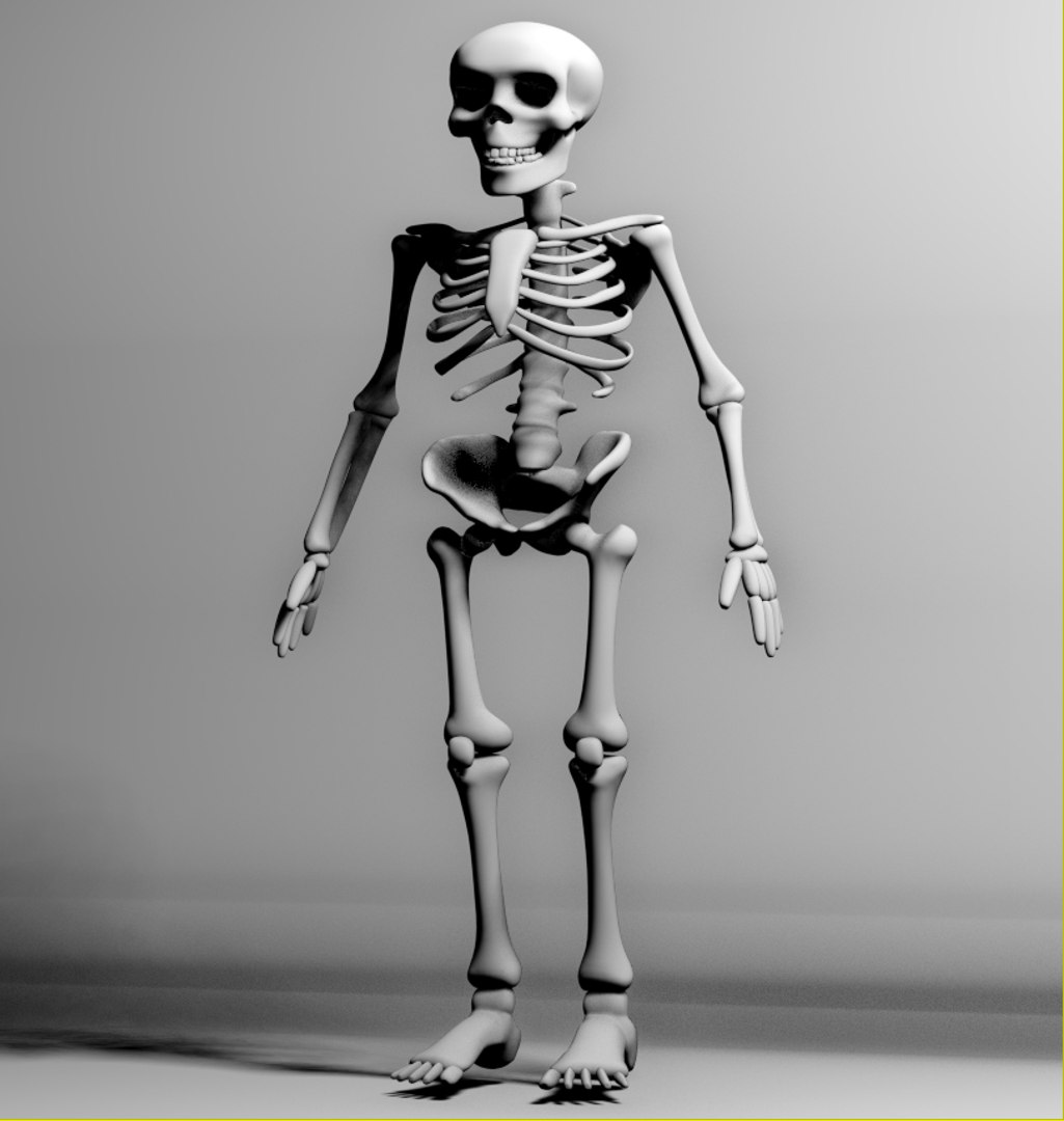 Cartoon Skeleton 3d Model