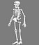 Cartoon Skeleton 3d Model