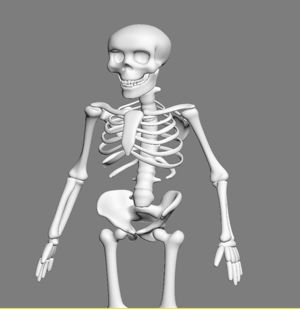 Cartoon Skeleton 3d Model