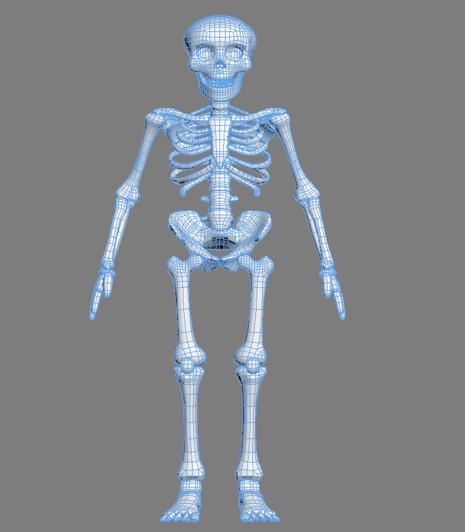 Cartoon Skeleton 3d Model