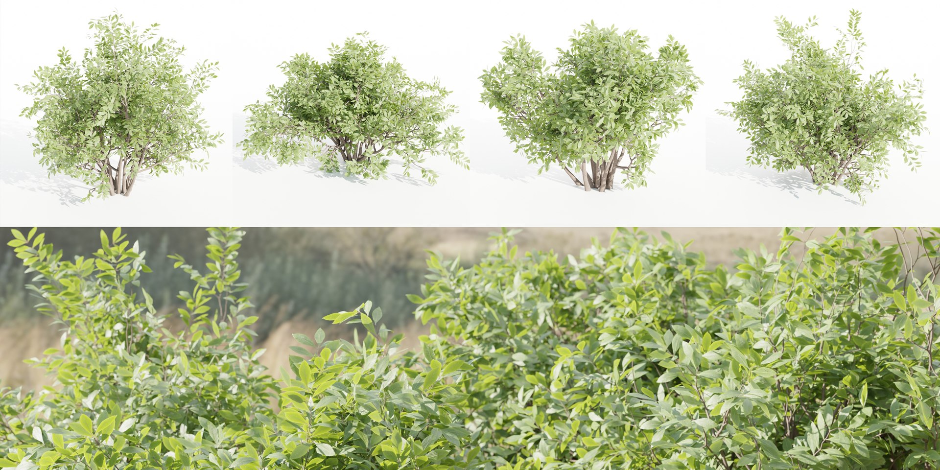 3D bushes 4 collection vol 110-Blender model - TurboSquid 2138680