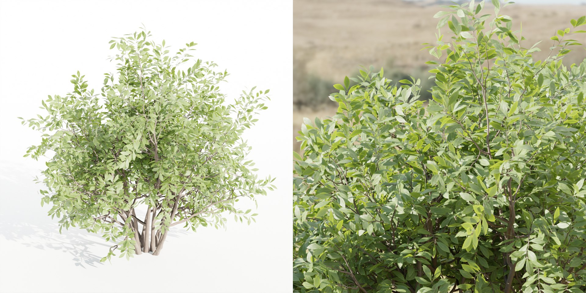 3D bushes 4 collection vol 110-Blender model - TurboSquid 2138680