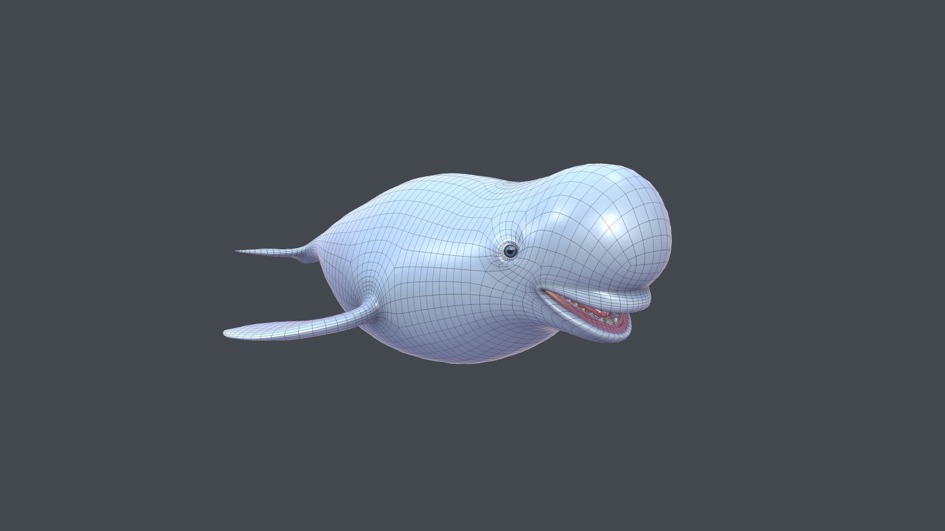 Cartoon beluga whale 3D model - TurboSquid 1245437
