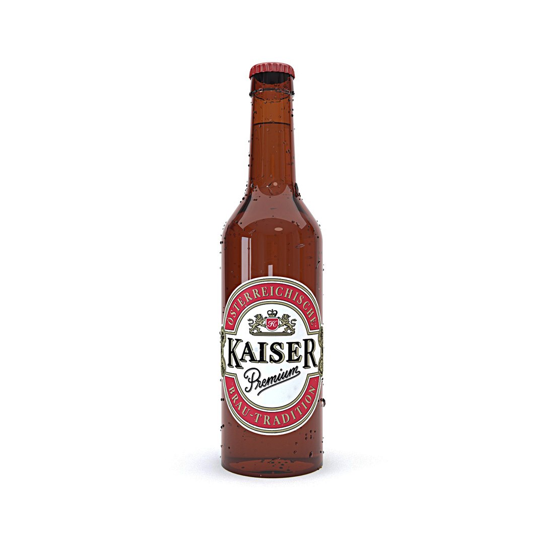 Modeled kaiser bottle 3D model - TurboSquid 1551321