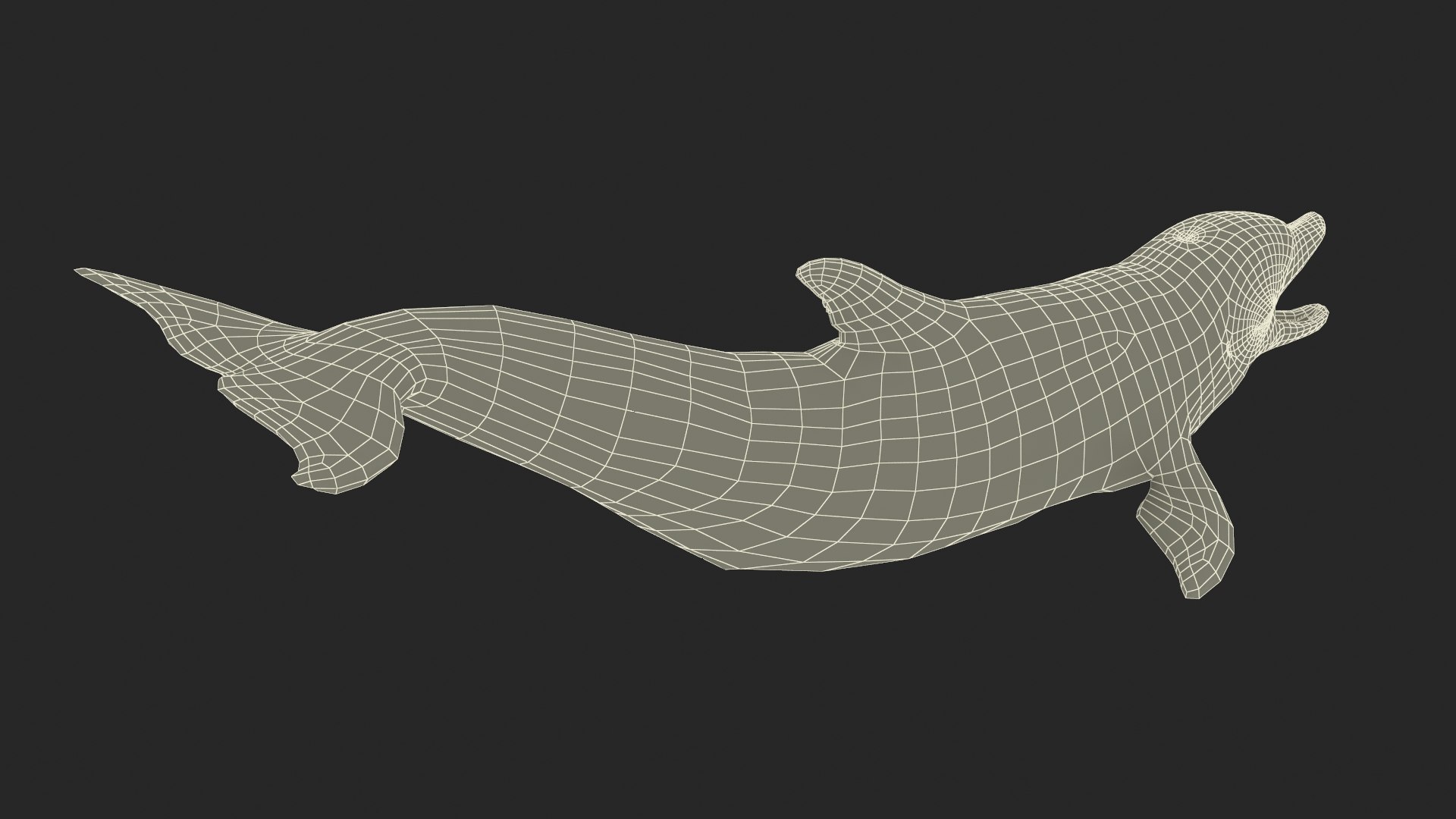 Common Bottlenose Dolphin 3D - TurboSquid 2262310