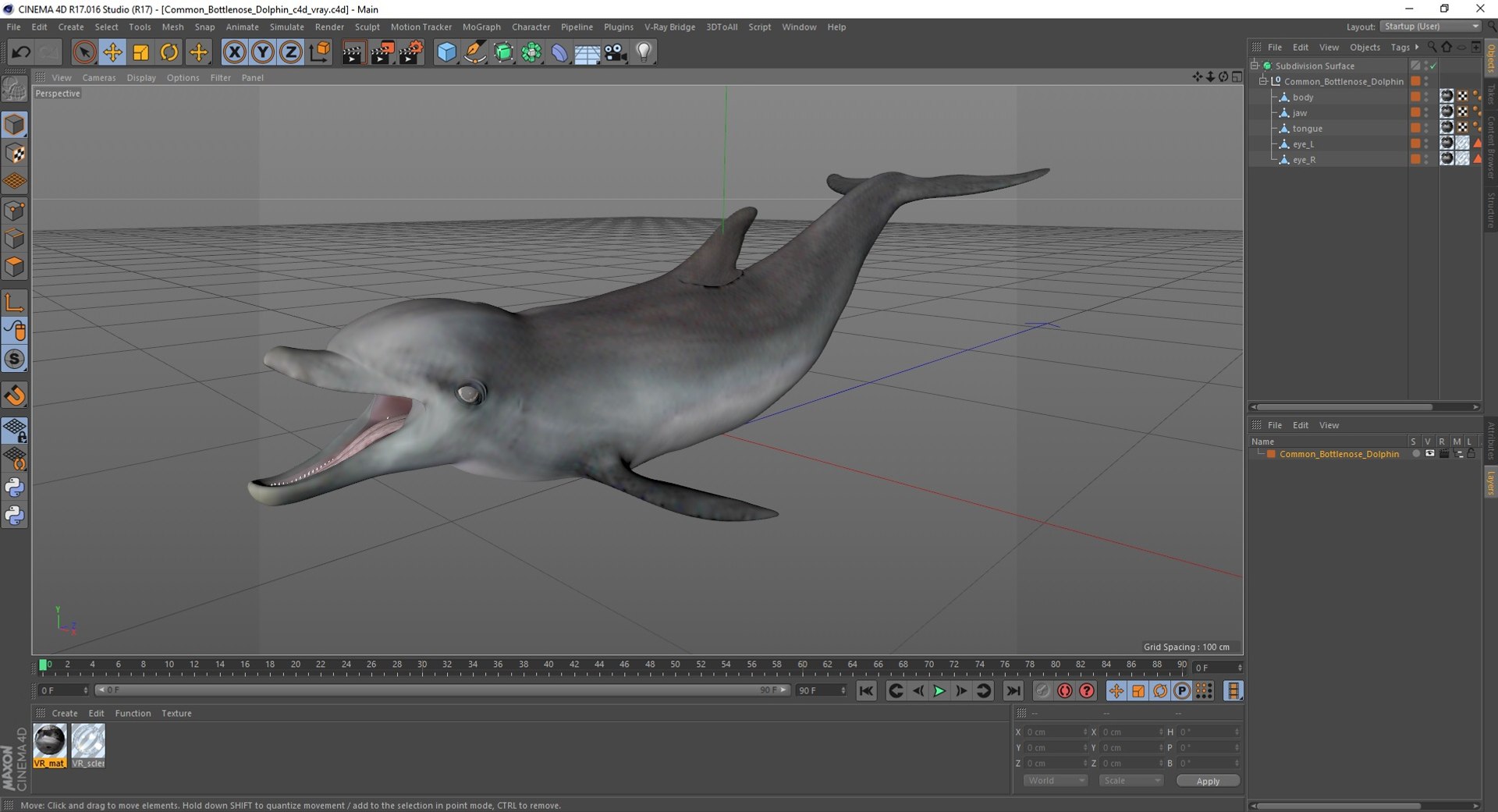 Common Bottlenose Dolphin 3D - TurboSquid 2262310