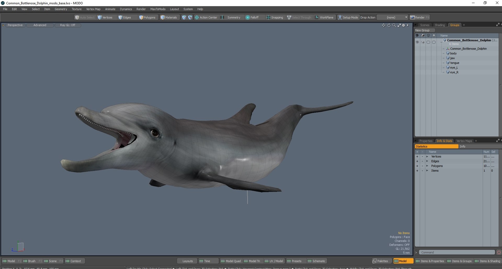 Common Bottlenose Dolphin 3D - TurboSquid 2262310
