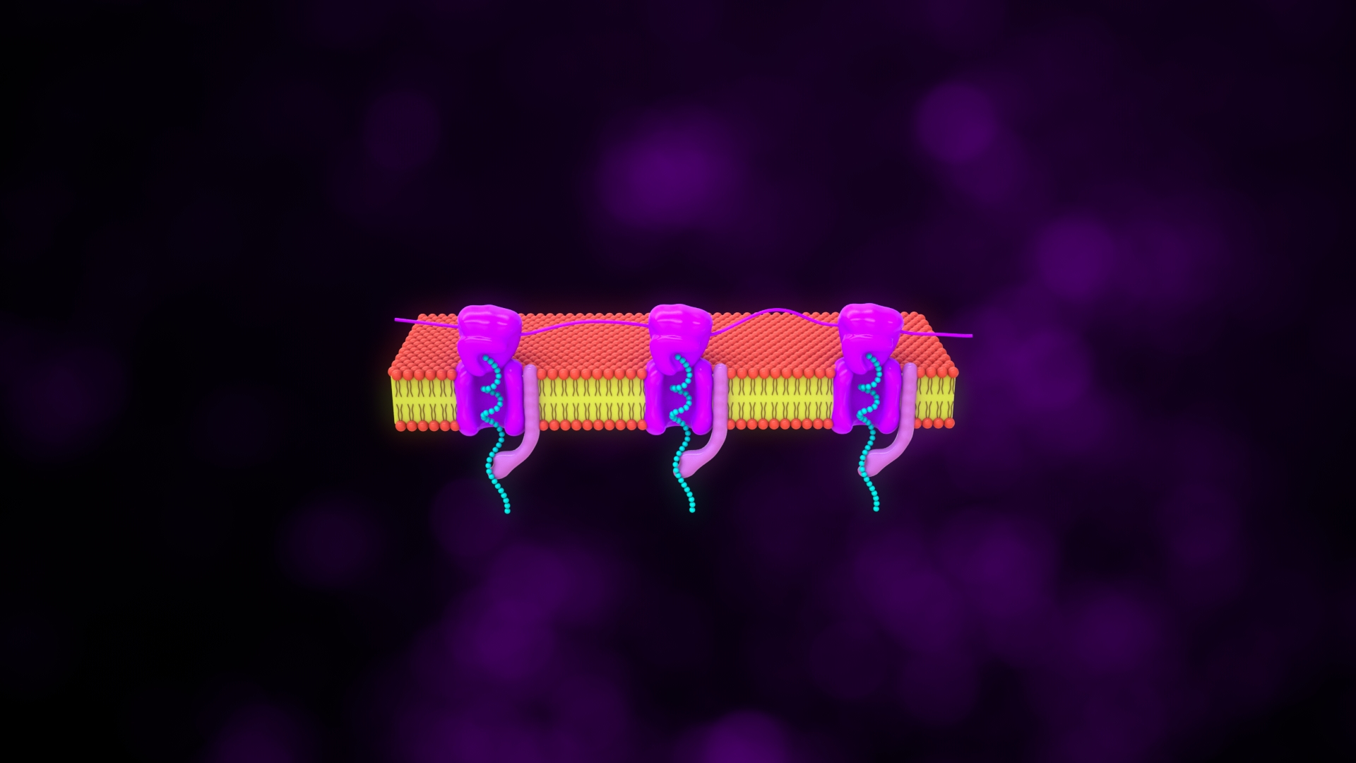 Glycoproteins In Cell Walls 3D Model - TurboSquid 2187114
