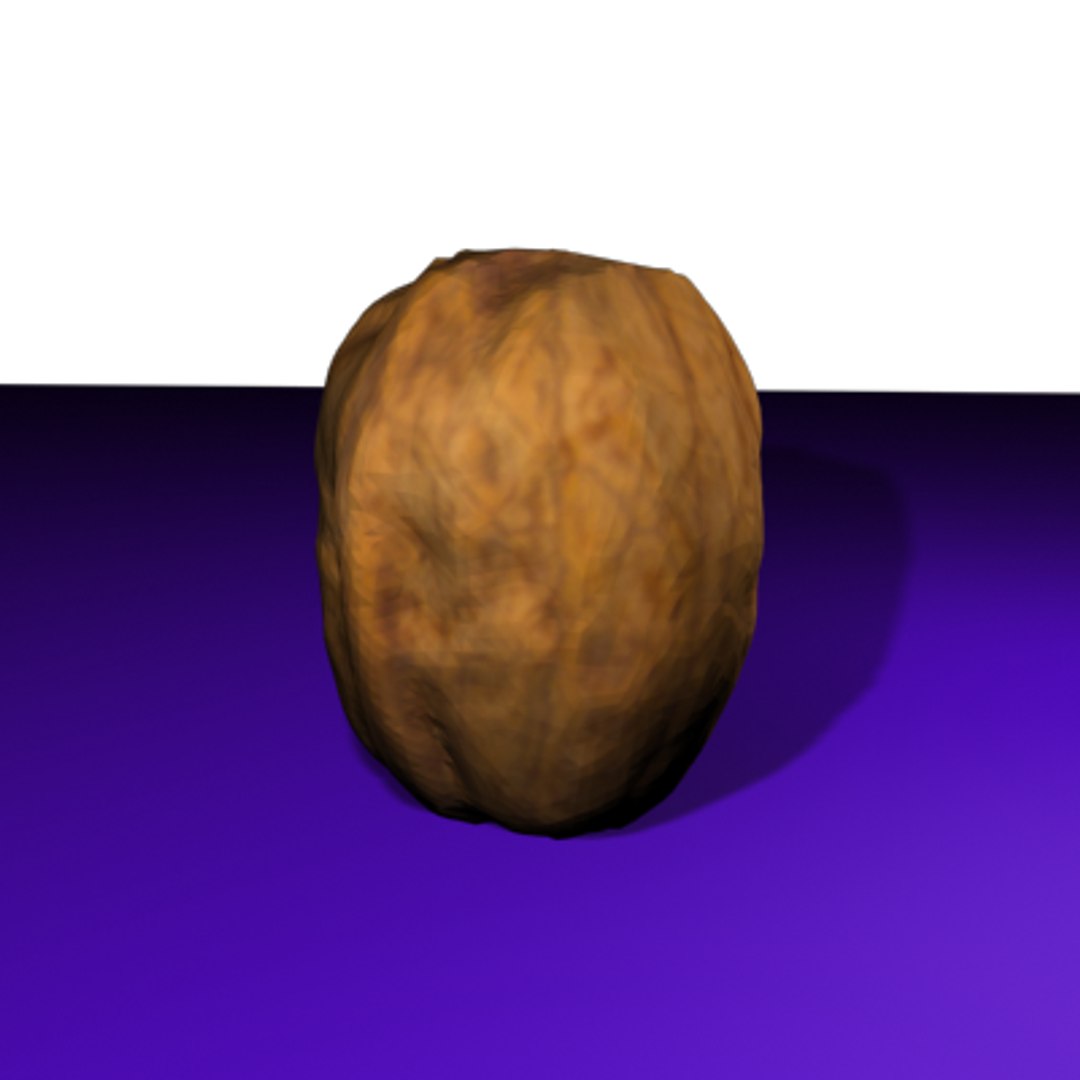 3d Model Accurate Nuts