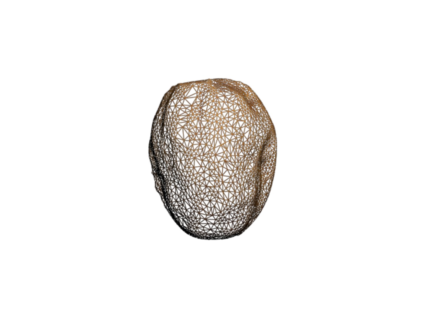 3d Model Accurate Nuts