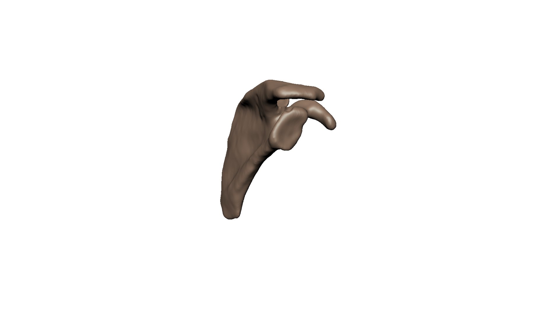 3D Reconstruction Real Humans Scapula Model - TurboSquid 1381961