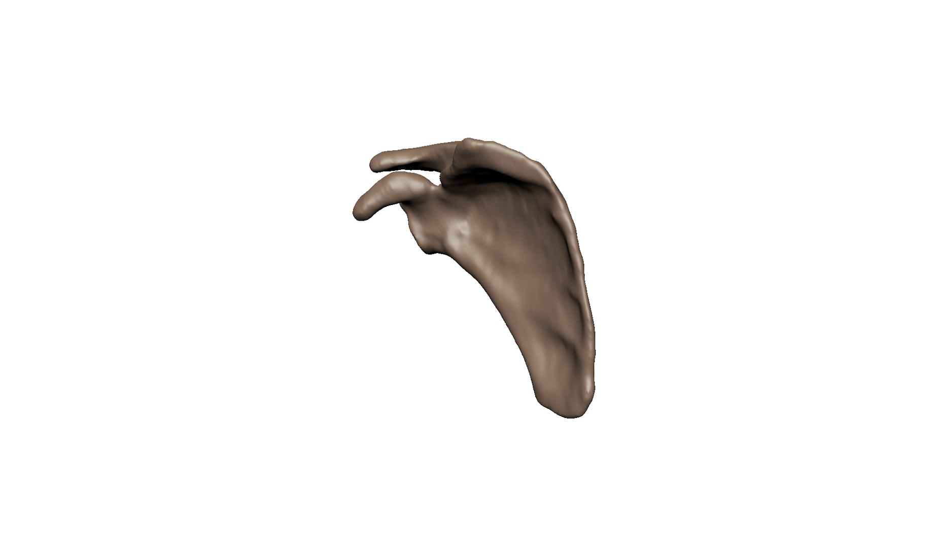 3D reconstruction real humans scapula model - TurboSquid 1381961