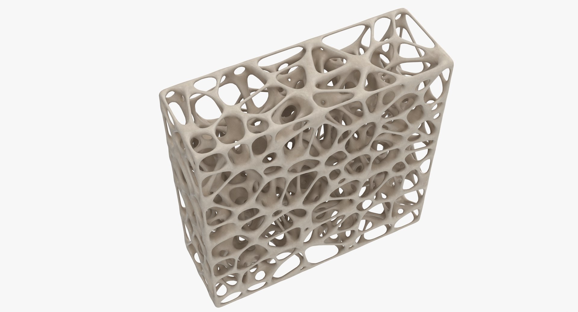 3D Rectangular Bone Matrix - TurboSquid 1930809