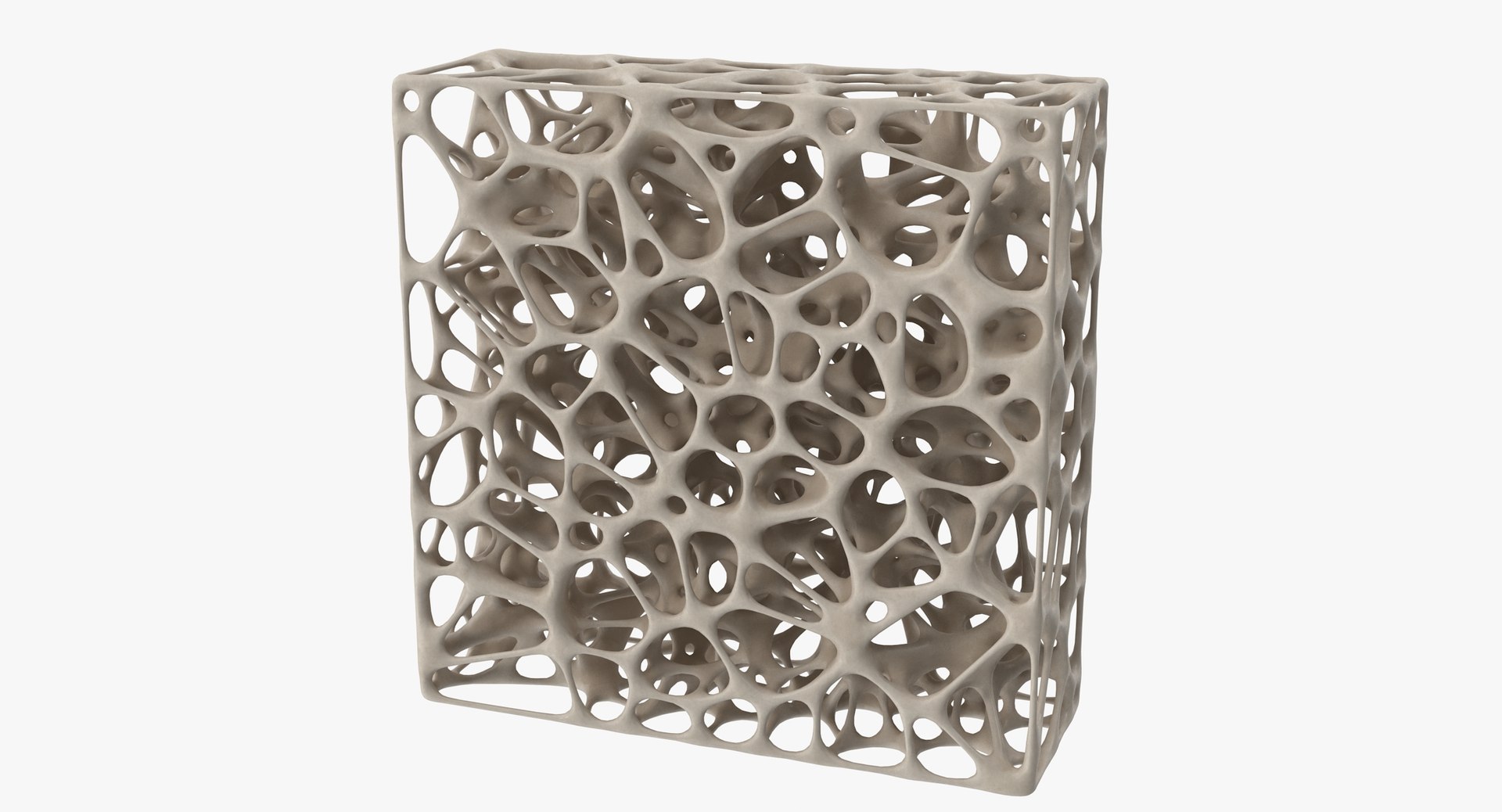 3D Rectangular Bone Matrix - TurboSquid 1930809