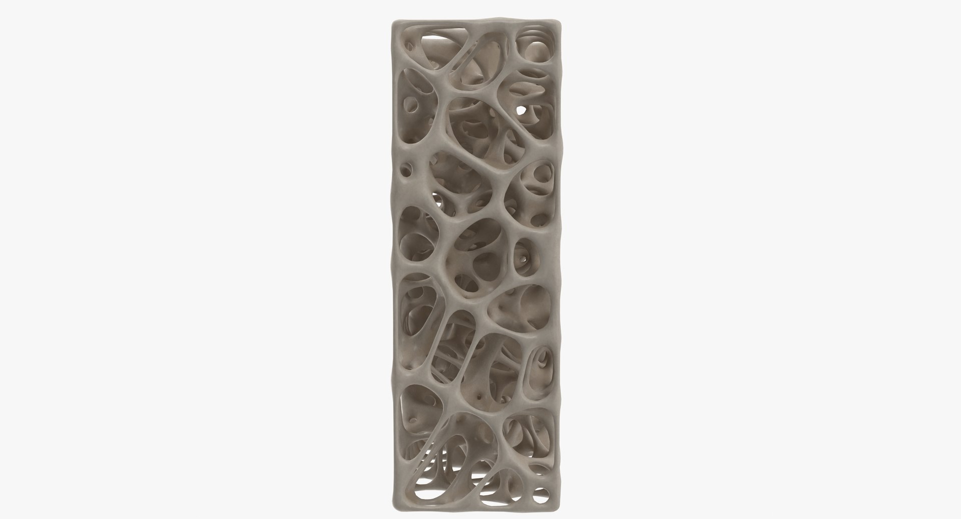 3D Rectangular Bone Matrix - TurboSquid 1930809