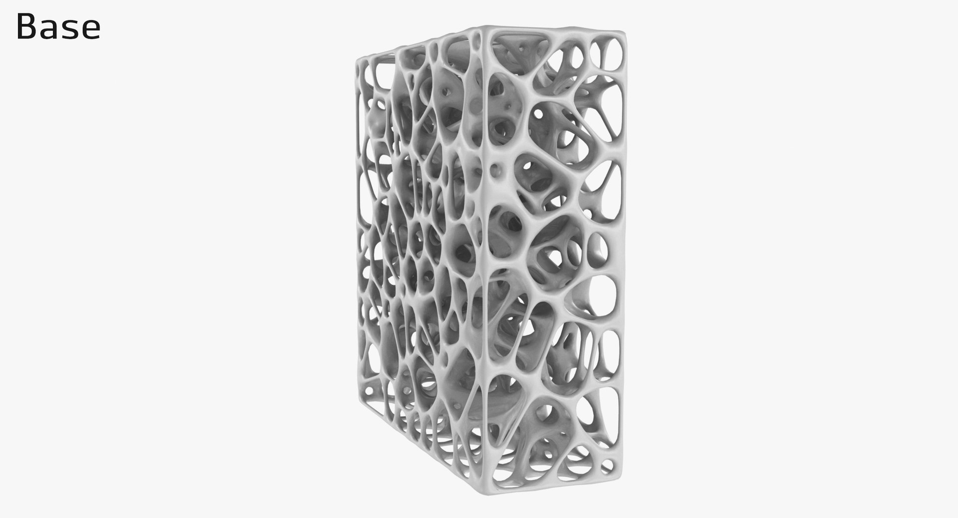 3D Rectangular Bone Matrix - TurboSquid 1930809
