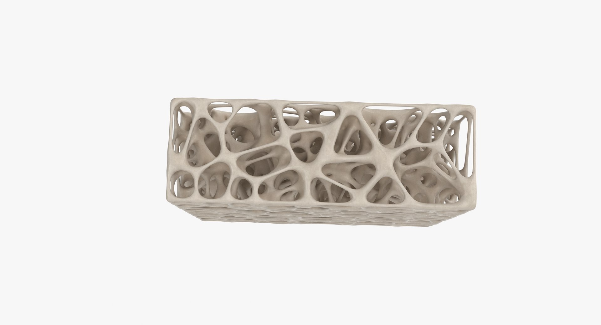 3D Rectangular Bone Matrix - TurboSquid 1930809