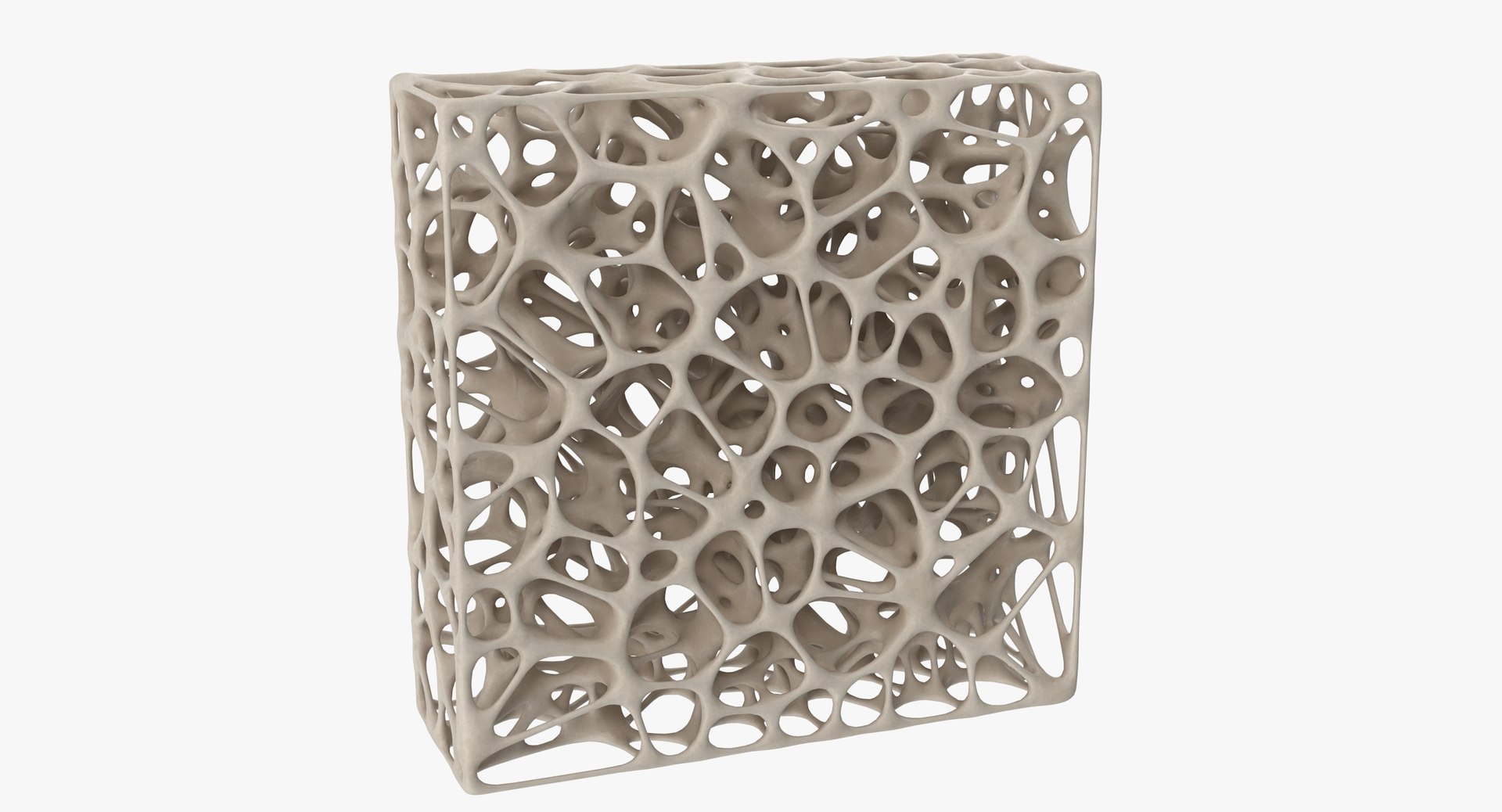 3D Rectangular Bone Matrix - TurboSquid 1930809
