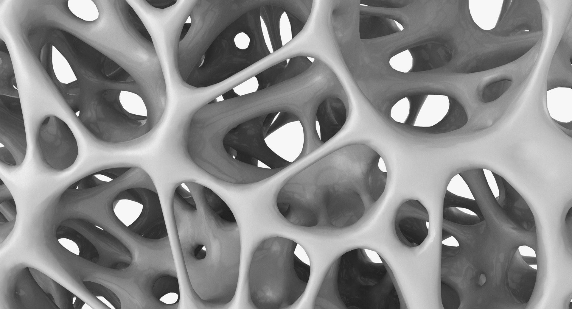 3D Rectangular Bone Matrix - TurboSquid 1930809