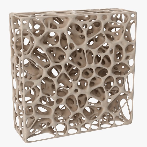 3D Rectangular Bone Matrix - TurboSquid 1930809