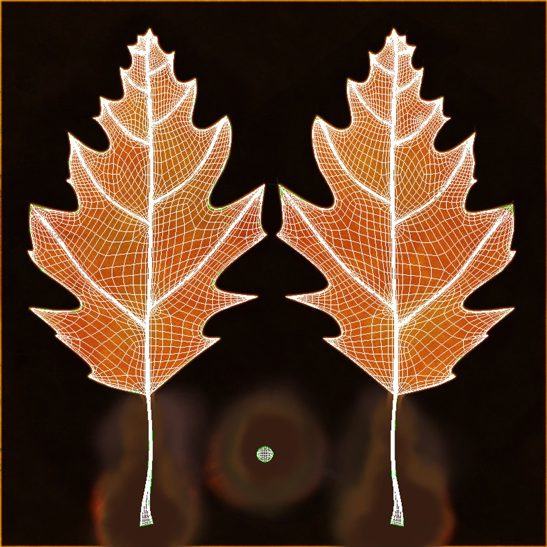 3d Model Oak-leaves-01---orange