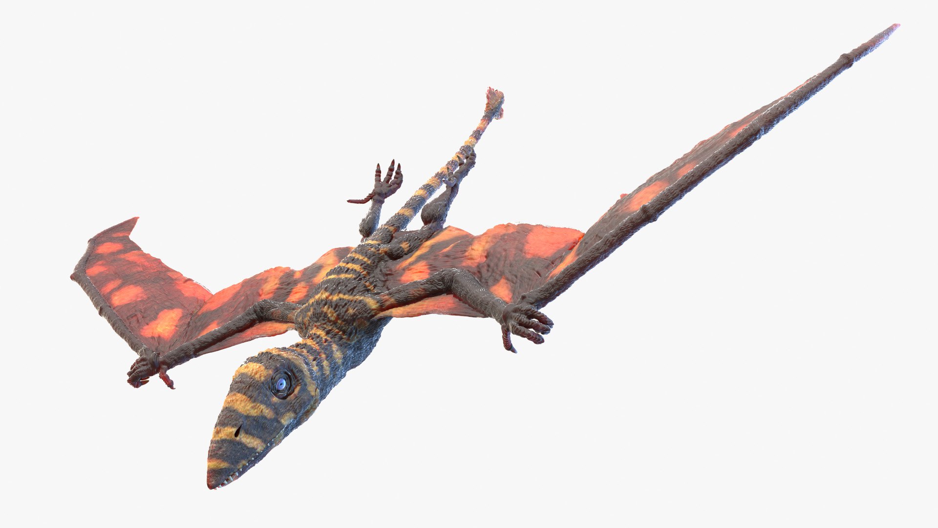 Peteinosaurus Animated 3D - TurboSquid 1929852