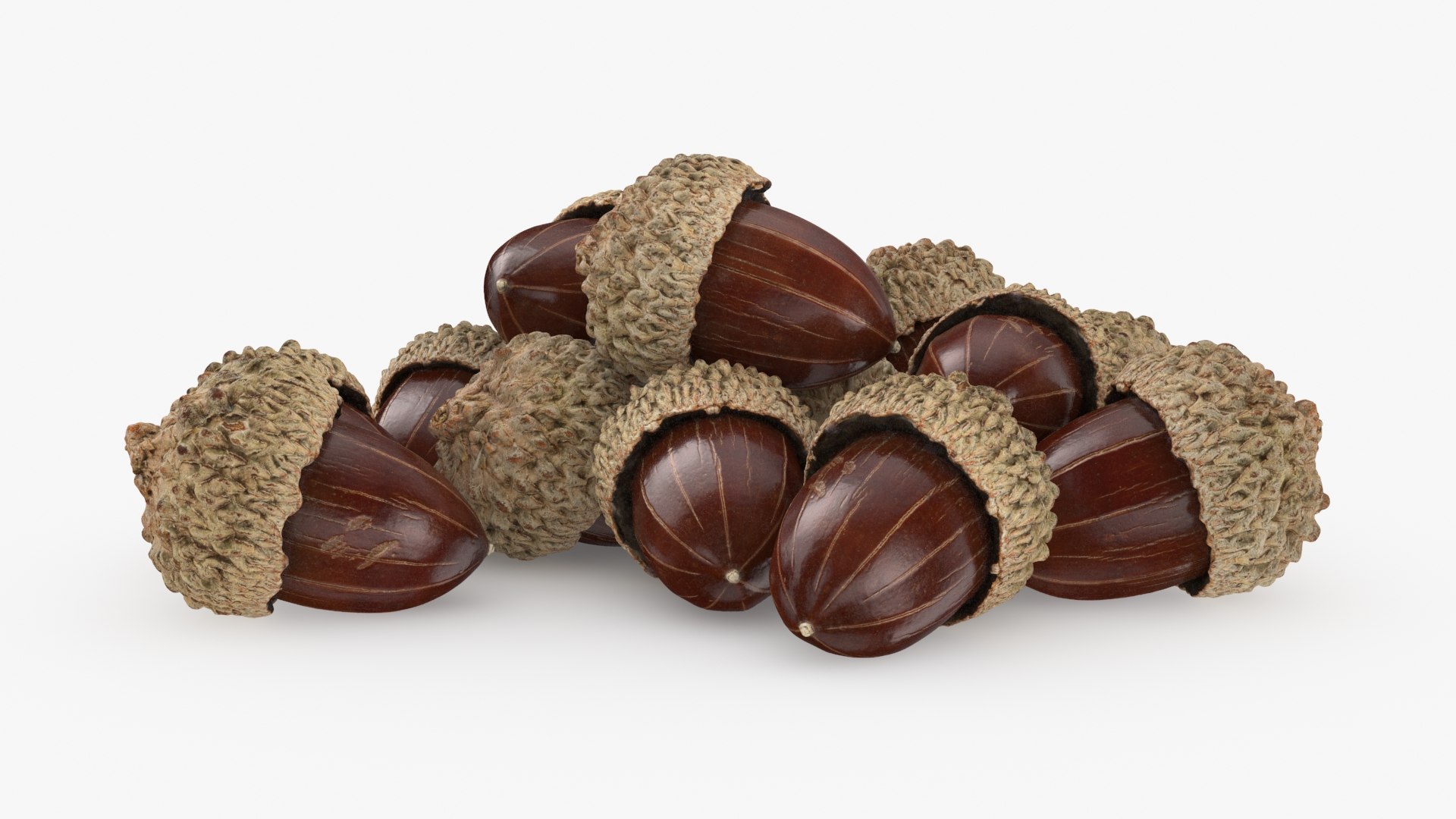 3D Acorn Pile Model - TurboSquid 2283544