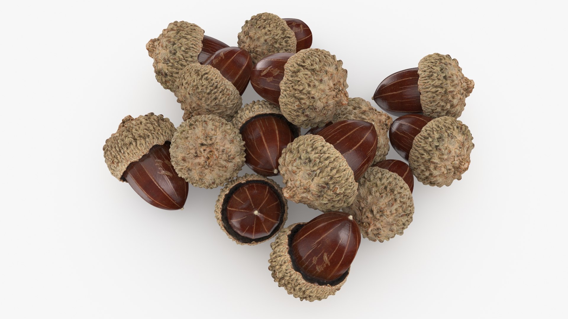 3D Acorn Pile Model - TurboSquid 2283544