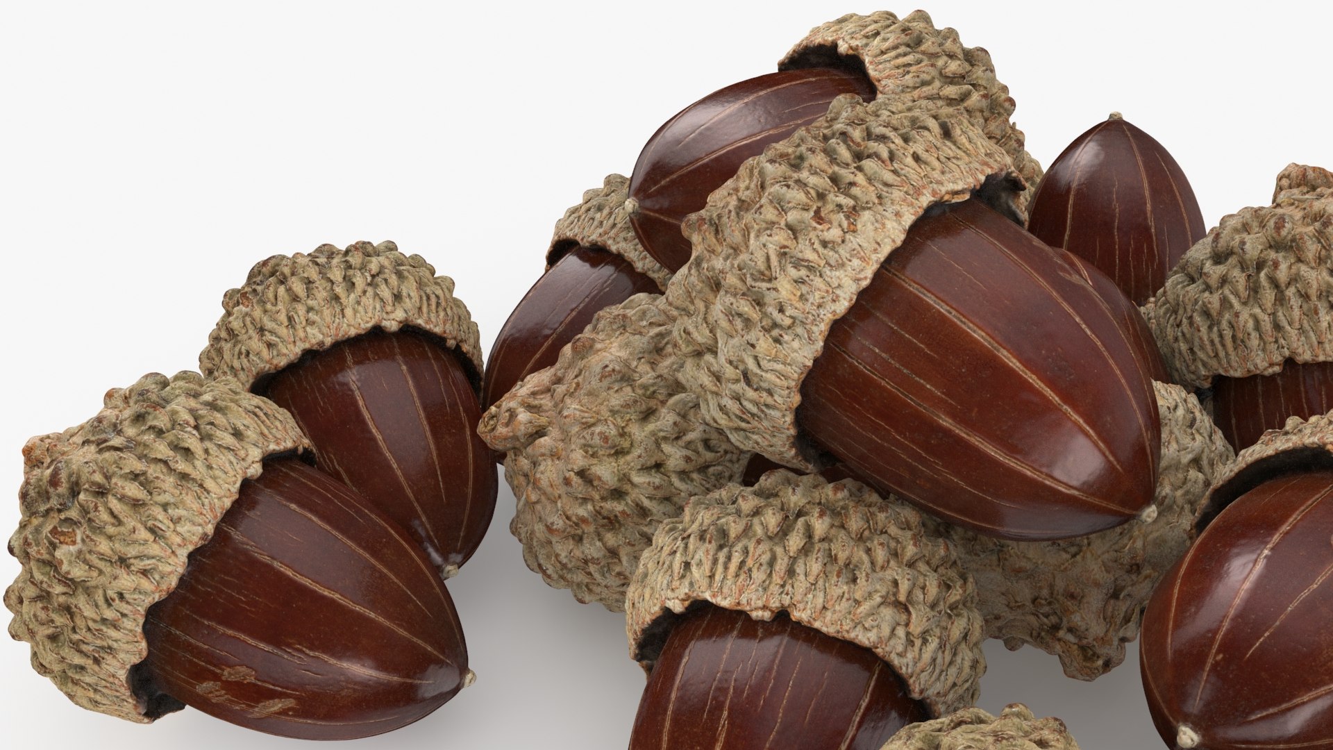 3D Acorn Pile Model - TurboSquid 2283544