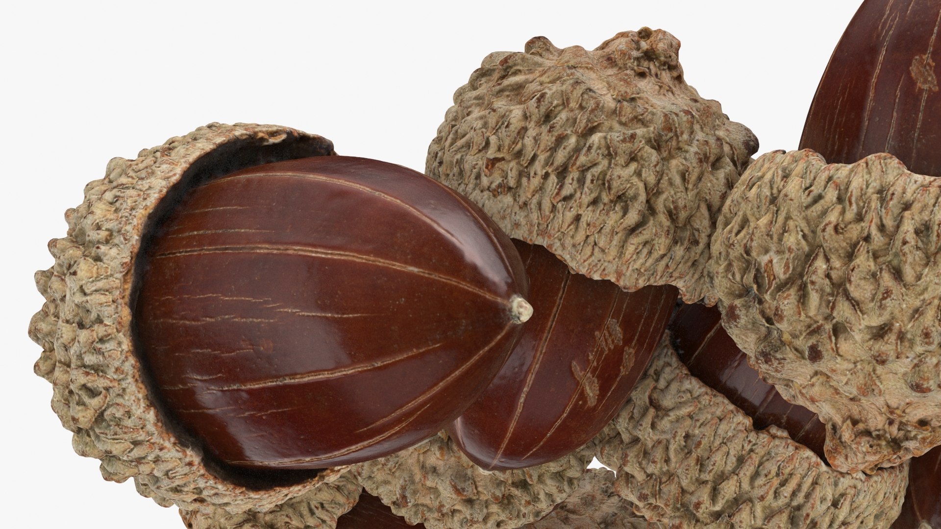 3D Acorn Pile Model - TurboSquid 2283544