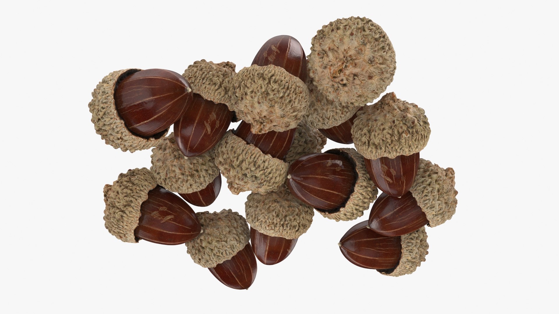 3D Acorn Pile Model - TurboSquid 2283544