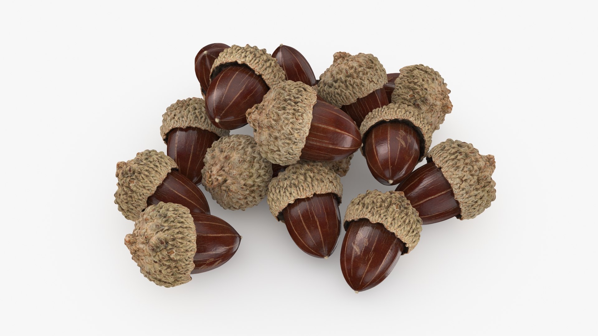 3D Acorn Pile Model - TurboSquid 2283544