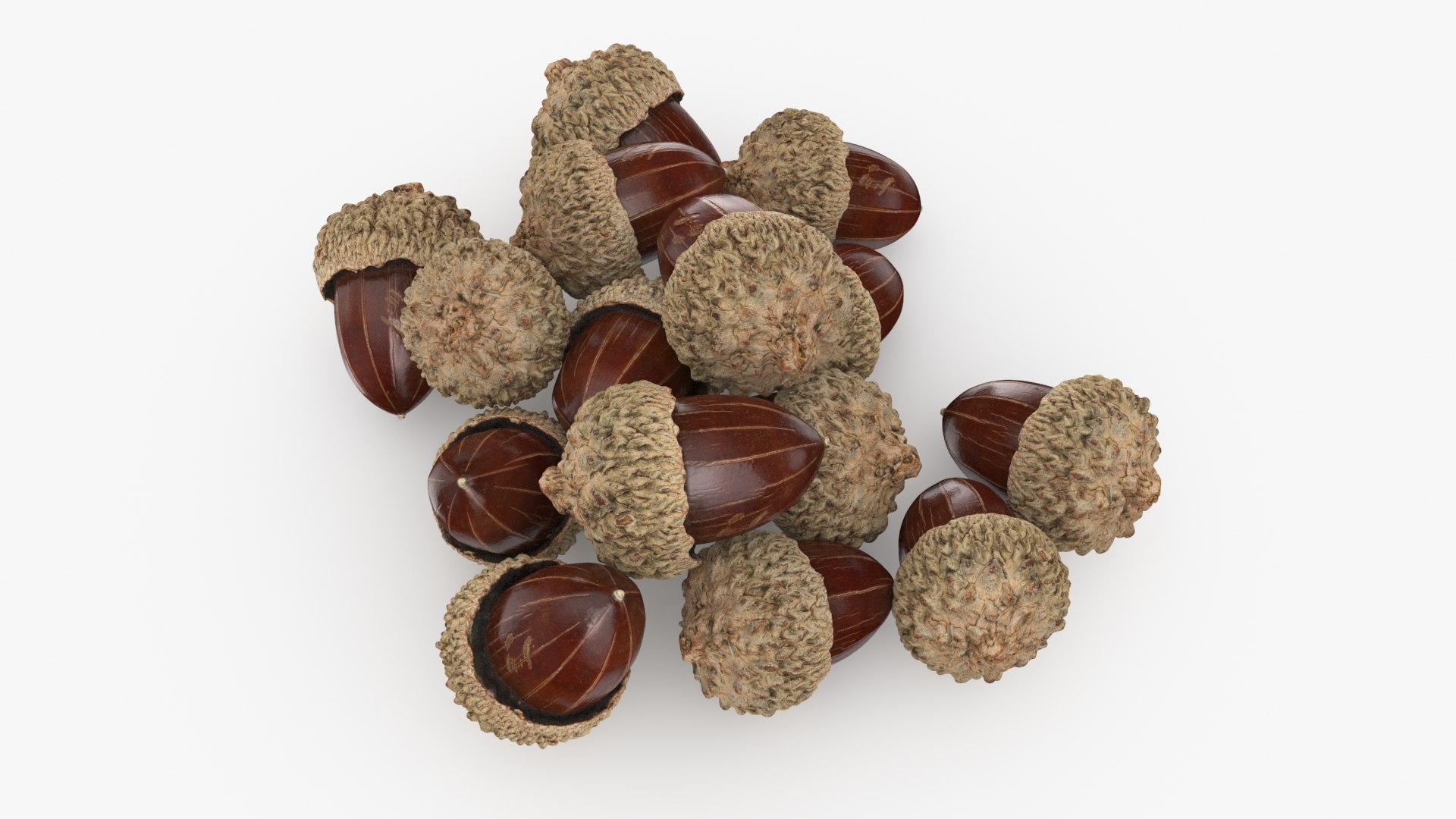 3D Acorn Pile Model - TurboSquid 2283544