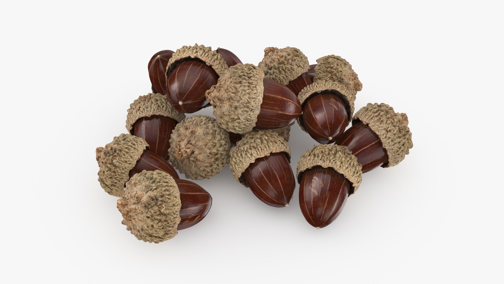 3D Acorn Pile Model - TurboSquid 2283544