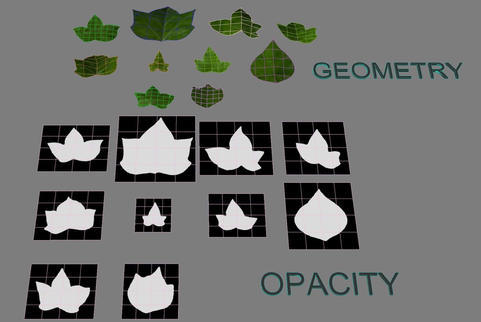 3d Ivy Leaf Model