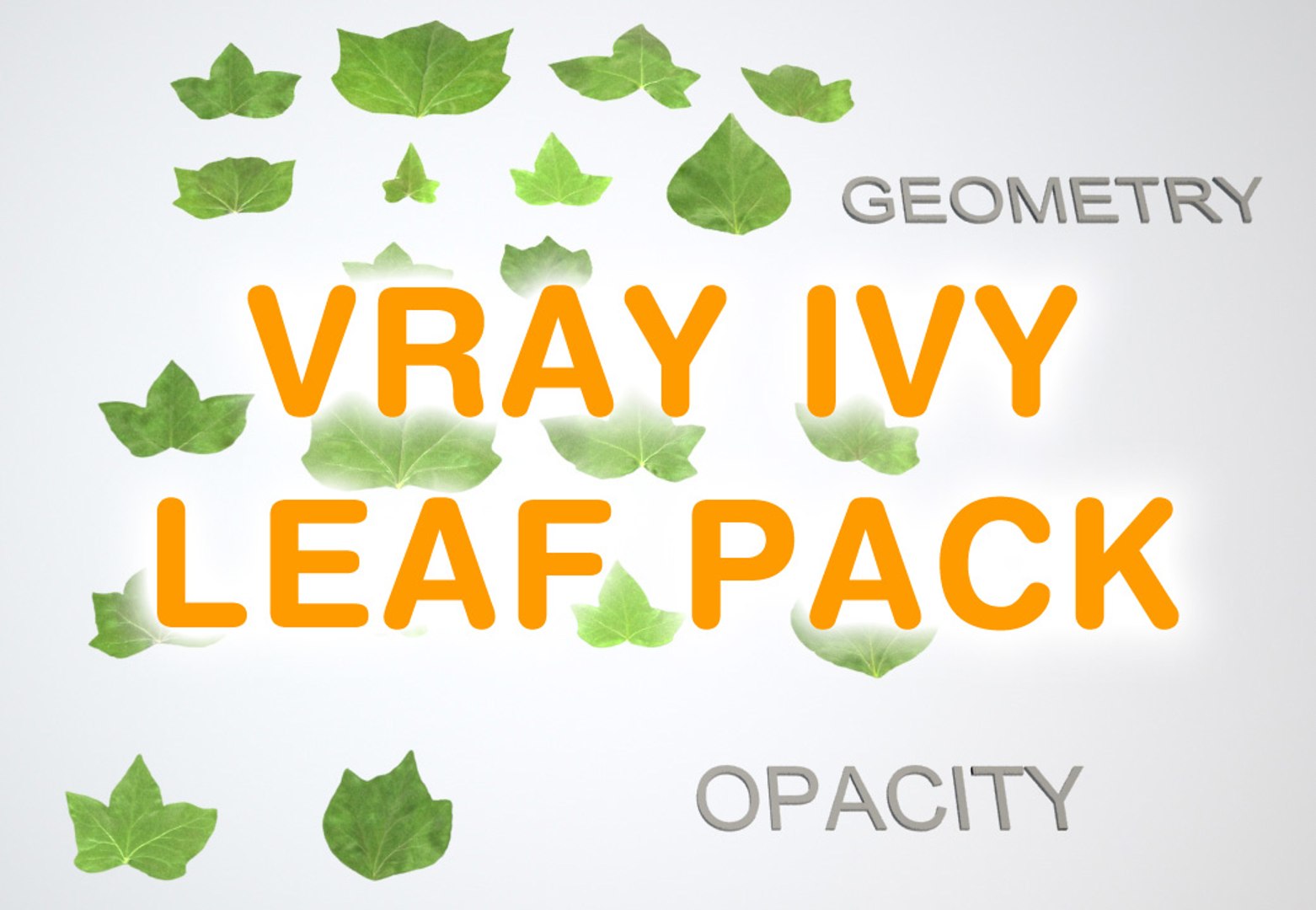 3d Ivy Leaf Model