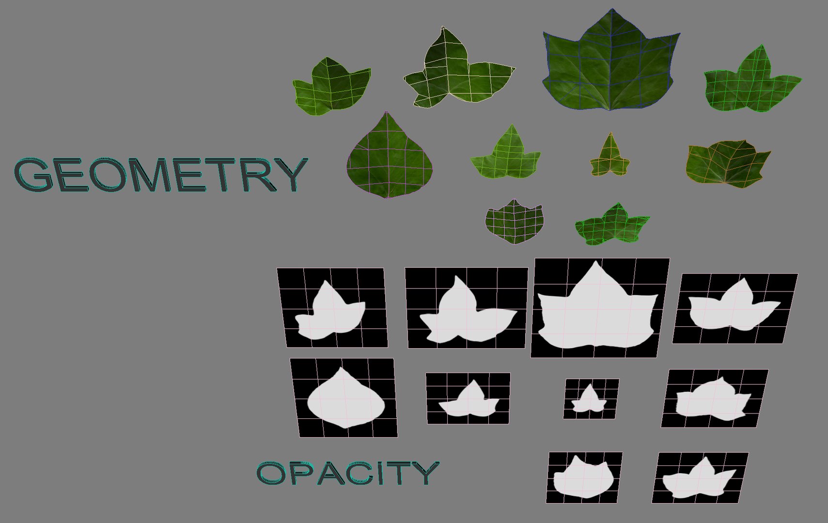 3d Ivy Leaf Model