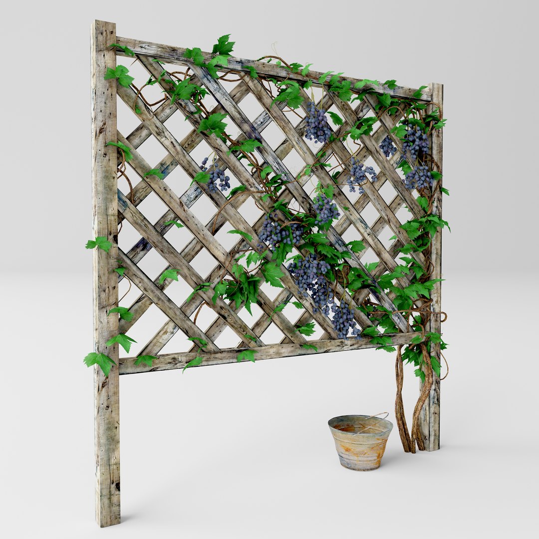 Vine Model - TurboSquid 1356206